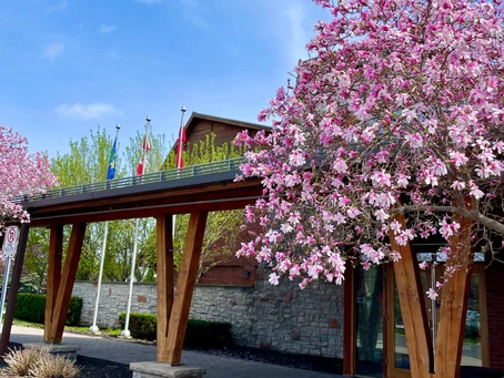 Spring Time at Wildwood! - Wildwood Academy